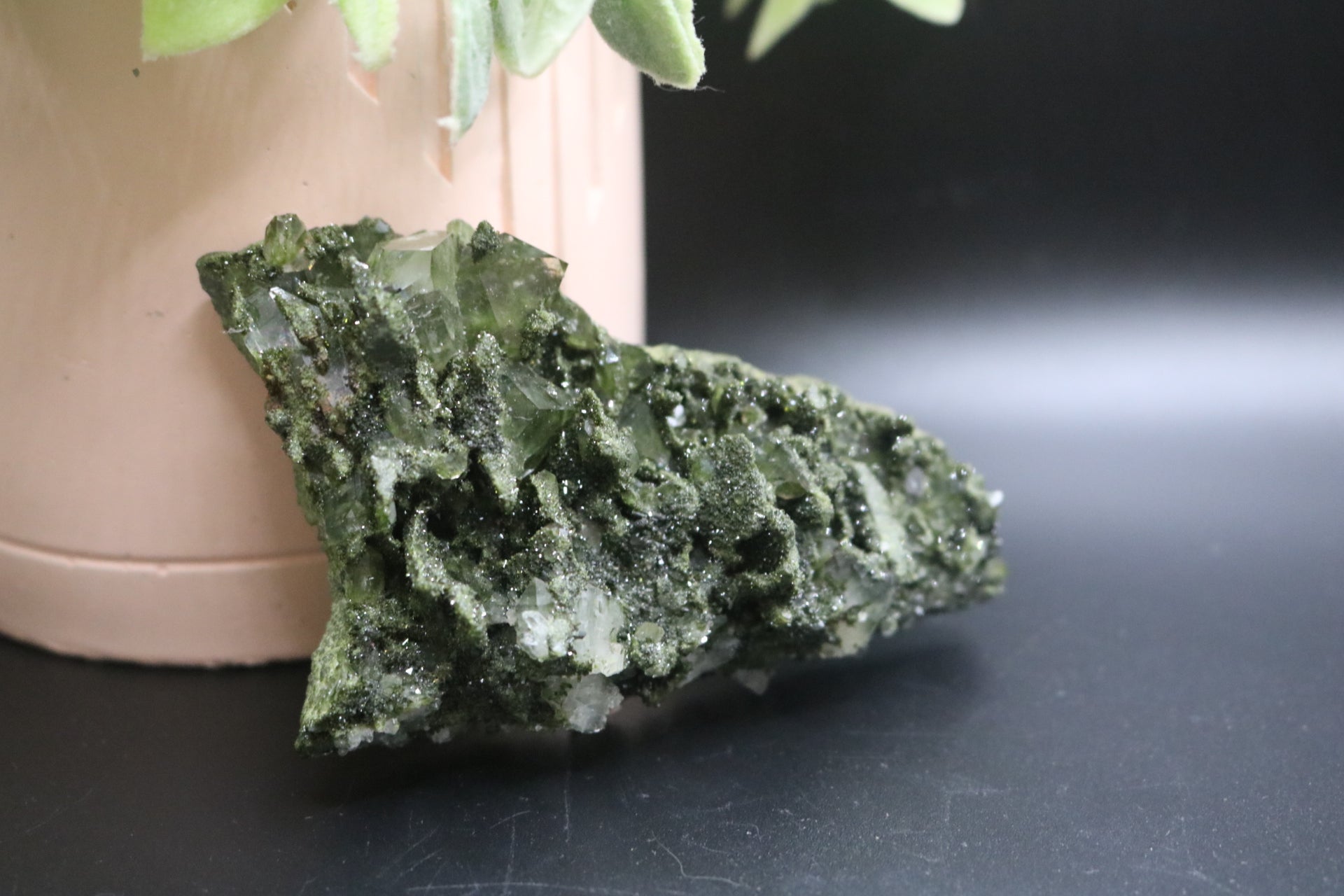 Rare Finds – Sticks Stones and Witches Bones